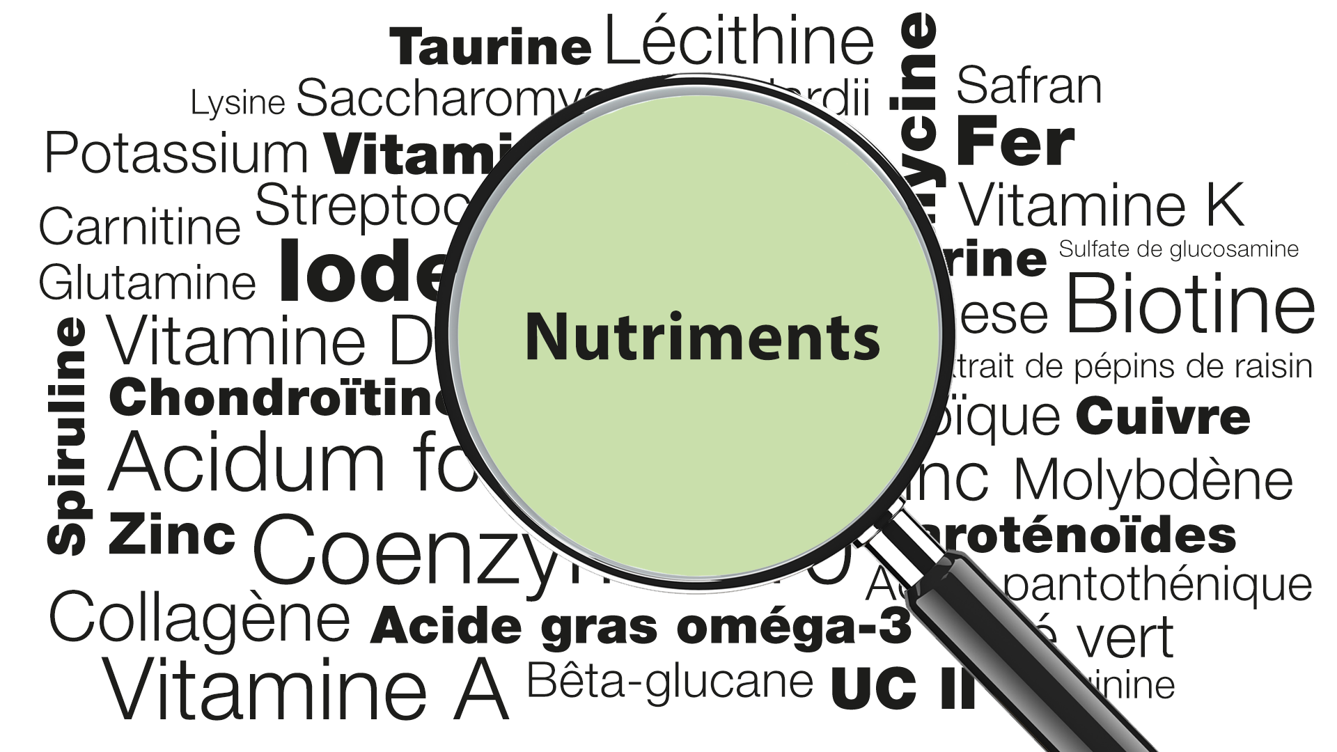 Burgerstein Foundation: Informations utiles sur les micronutriments | Home